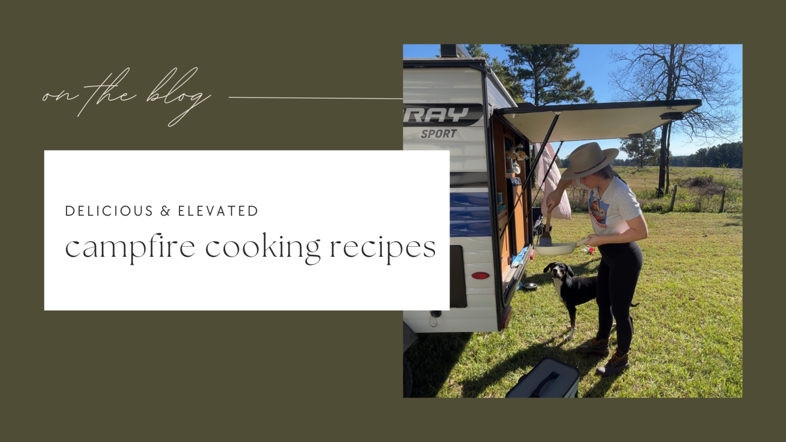Elevated Campfire Cooking: Gourmet Meals Under the Stars