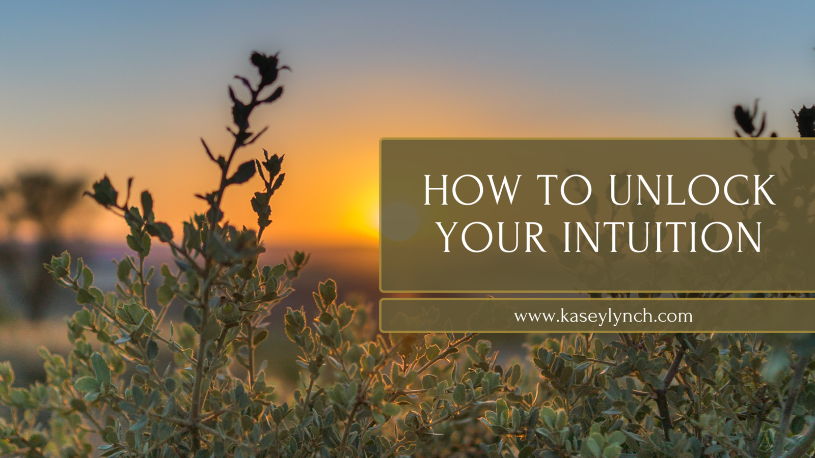 6 Practical Exercises to Strengthen and Unlock Your Intuition - Kasey Lynch | Adventure ...